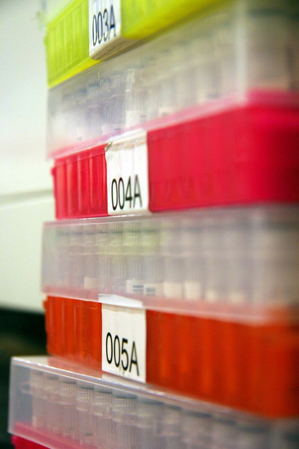 6 Easy Storage Hacks For Your Shed - storing.com